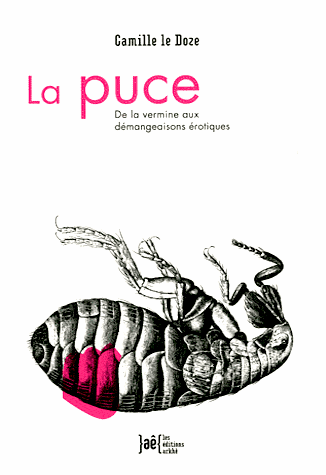 La puce | Arkhê
